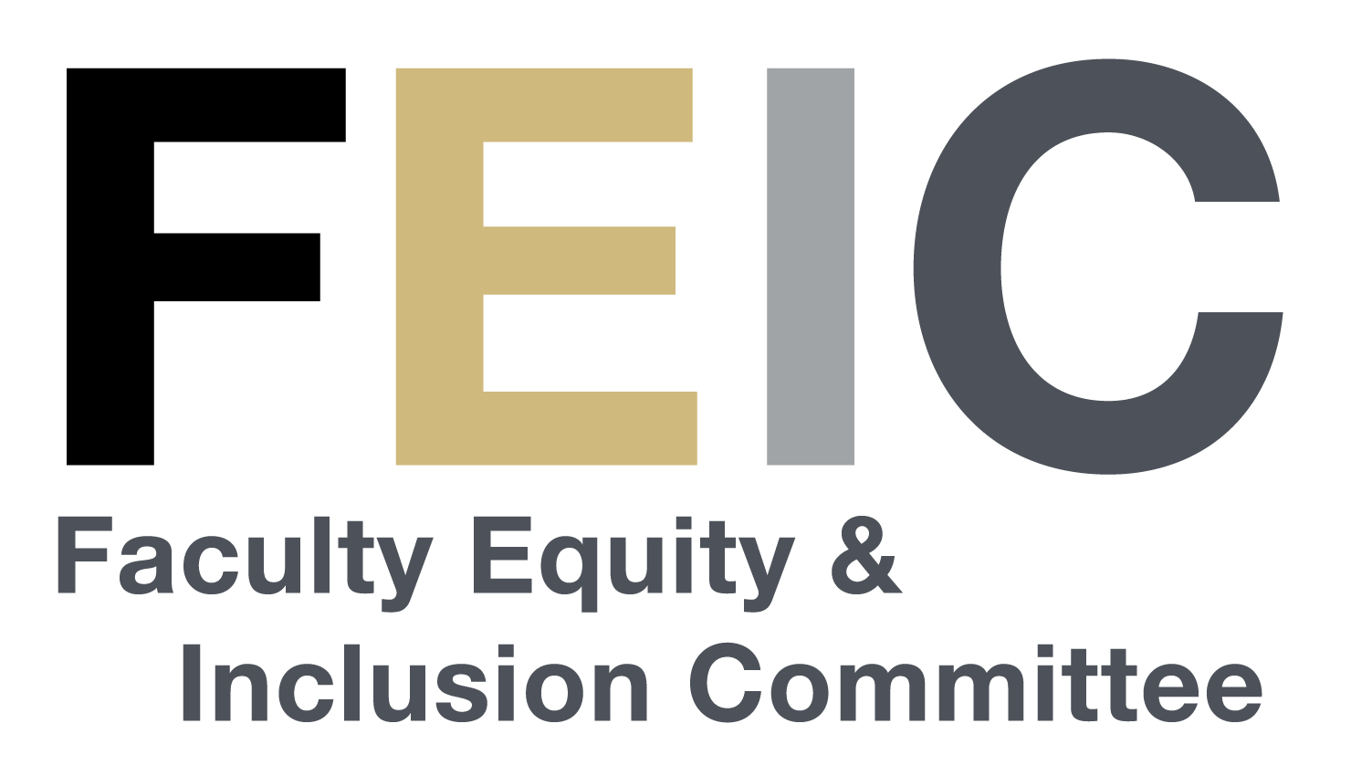 Faculty Equity and Inclusion Committee